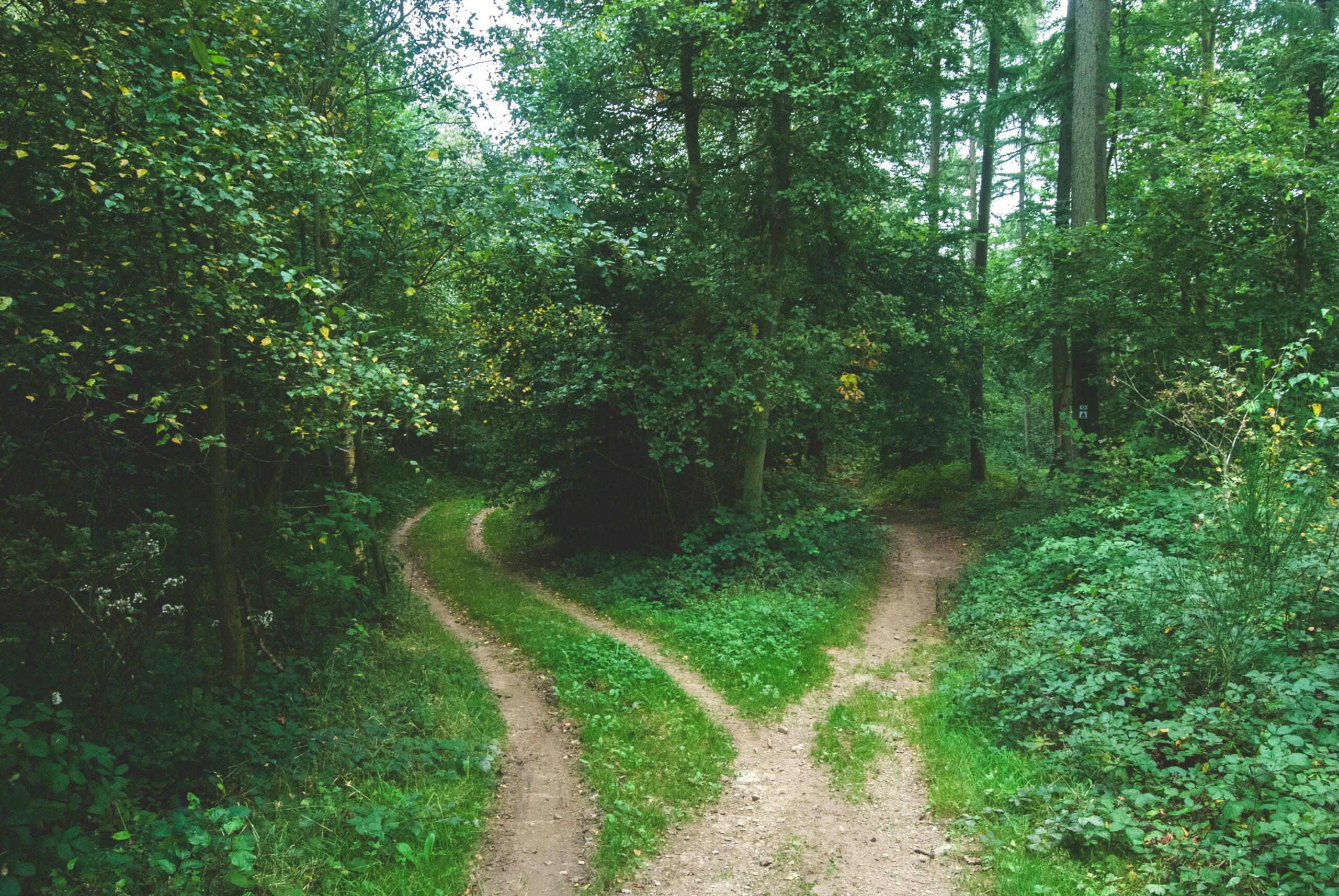 God’s Desires: How to know God's will in difficult decisions. - Rooted ...